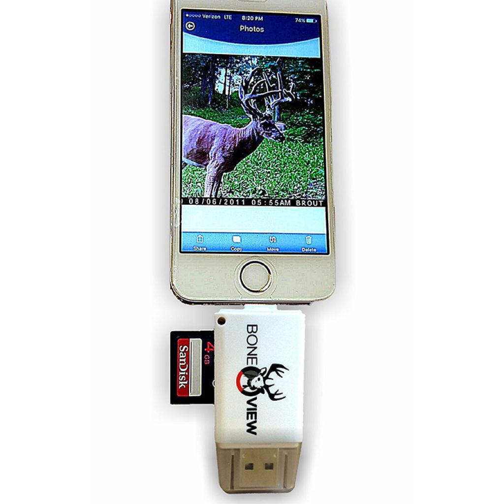 Best Game Camera in 2019 - Top Field Camera Rankings